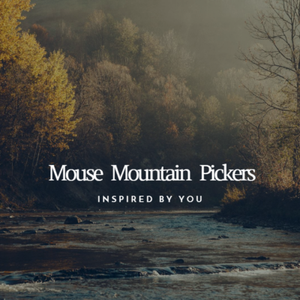 Mouse Mountain Pickers | eBay Stores