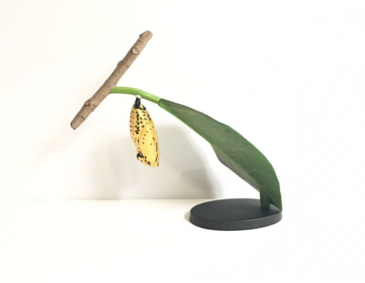 Rare Yujin Japan Exclusive Tree Nymph Butterfly Pupa SECRET Insect ...