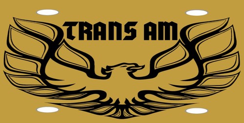 TRANS AM FIREBIRD METAL CAR NOVELTY LICENSE PLATE AUTO TAG | eBay