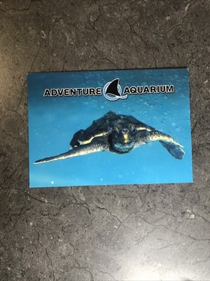 Adventure Aquarium, New Jersey, Sea Turtle Postcard Unposted | eBay