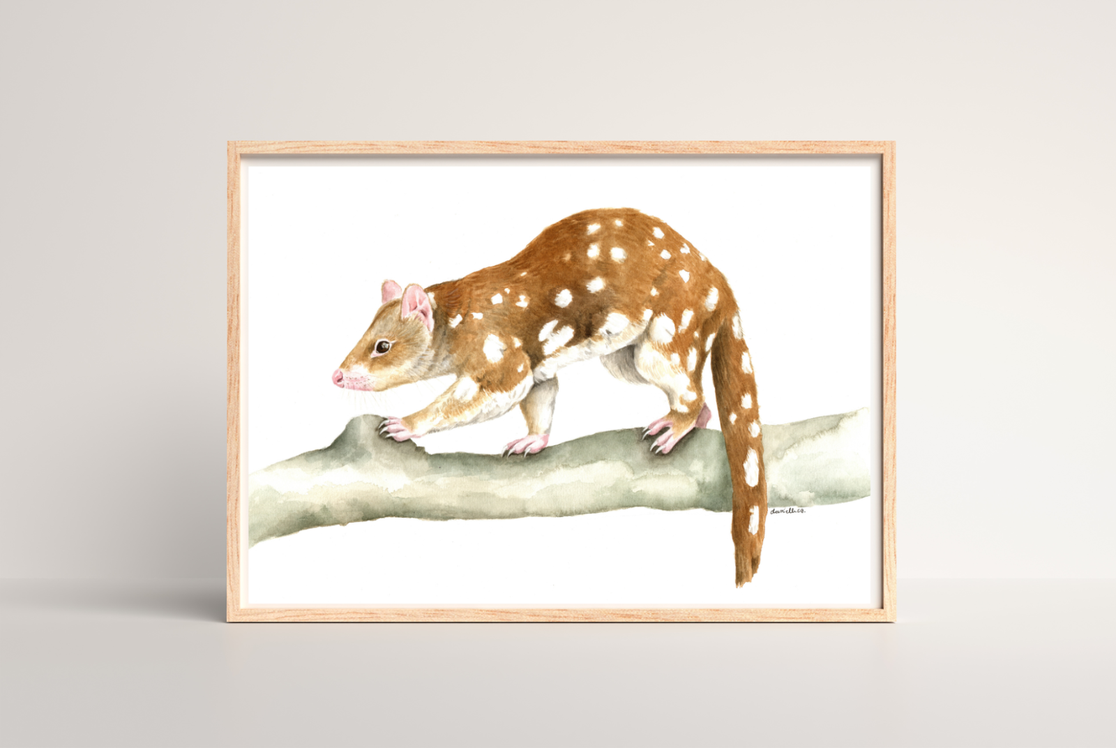 Watercolour Quoll Print - Australian animal prints, Australian Quoll ...