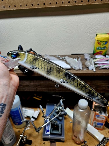 Super Jake 10 In Musky Lure Walleye | eBay