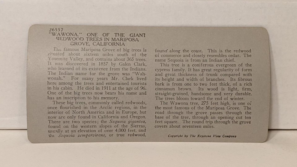 a529, Keystone SV; The Wawona Tunnel Tree, Mariposa Grove; 1066-5006 ...