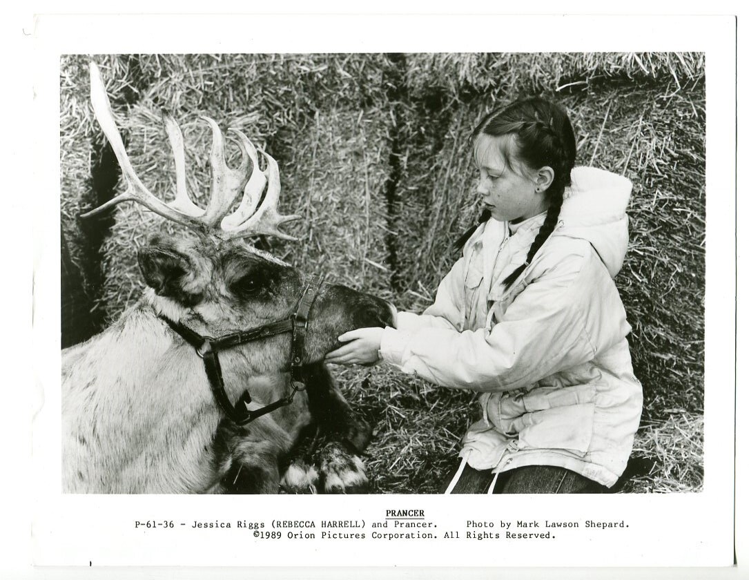 1989 Rebecca Harrell Tickell