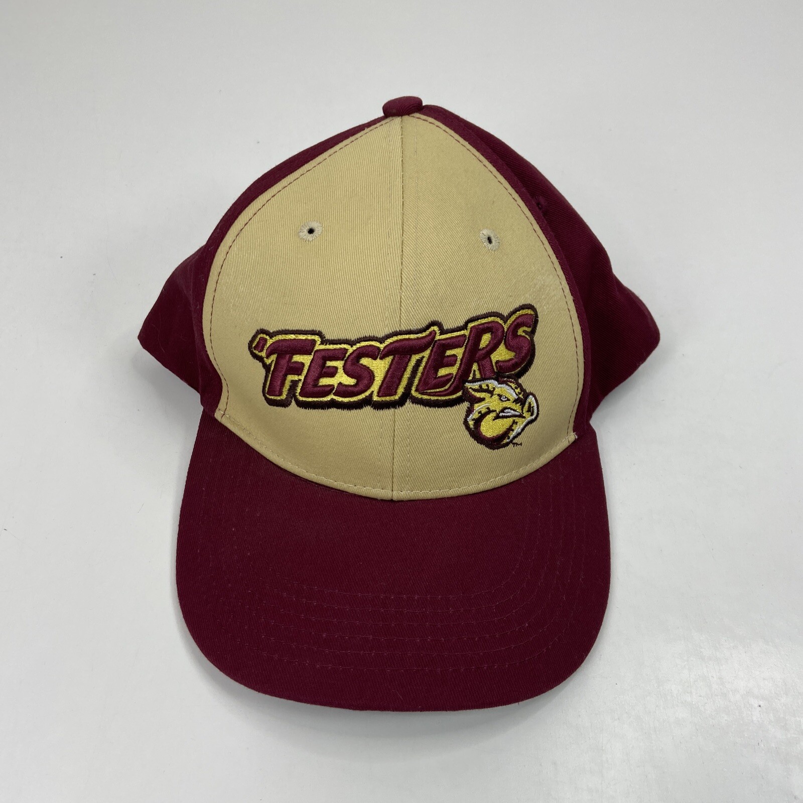 Lehigh Valley Iron Pigs Festers 2019 Musikfest Baseball Hat Service ...