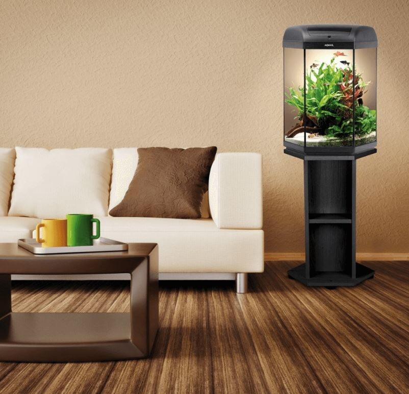 AquaEl Hexa 60L Tropical Fish Tank –| 41 x 41 x 60cm | Aquarium for ...