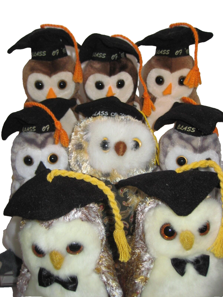 RARE CLASS OF 98, 99, 2002, 2005 OWLS 8 TY BEANIE BABIES MWMT FREE ...
