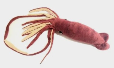 Wild Republic Squid 30" Plush Sea Ocean Maroon Realistic Stuffed Toy ...