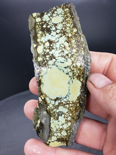 Nevada Saguaro Variscite Slab | eBay