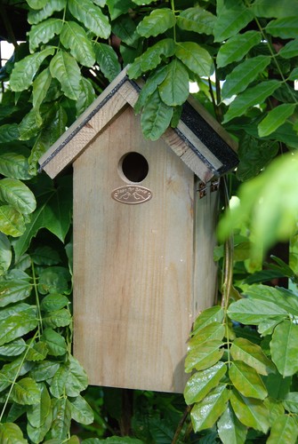 Bird House Nest Nesting Box - Sparrow Tit Nuthatch Bitumen Roof FSC ...