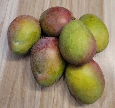 PREMIUM SWEET 6 BIG FRESH MANGOES FROM PUERTO RICO Free Fast Shipping ...