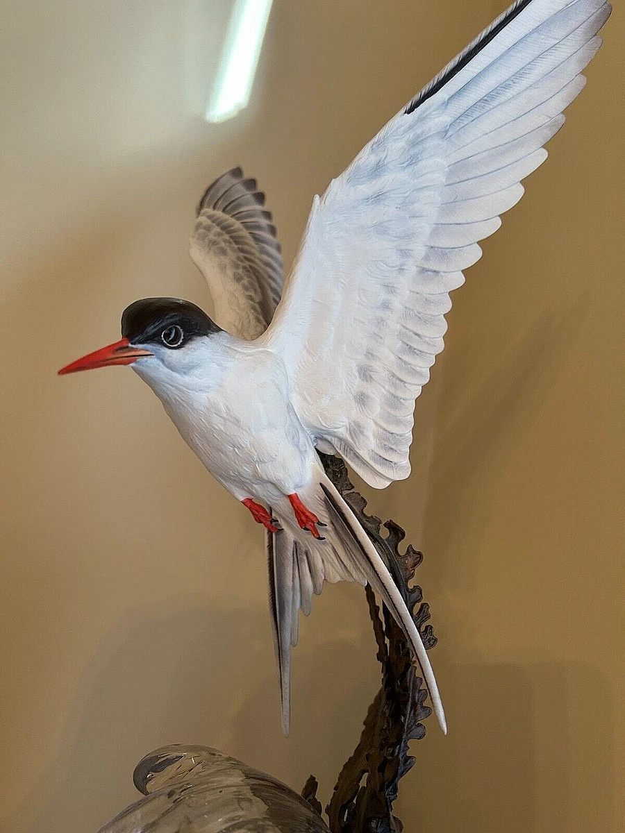 Arctic Tern Tattoo
