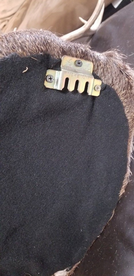 McKenzie Deer Shoulder Mount hanger 3 pack | eBay