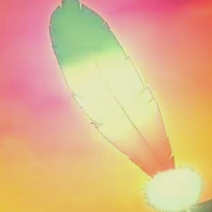 HO-OH FEATHERS | eBay Stores