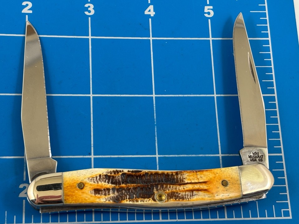 Very Nice Case XX Beautiful Bone Stag Mini Muskrat Knife SS | eBay