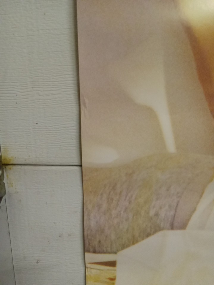 Mick Jagger She's The Boss US Promo Poster Rolling Stones 37x47 | eBay UK