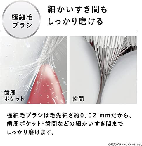 Panasonic Electric Tooth Brush Doltz Slim Entry Model White EW-DM63-W ...