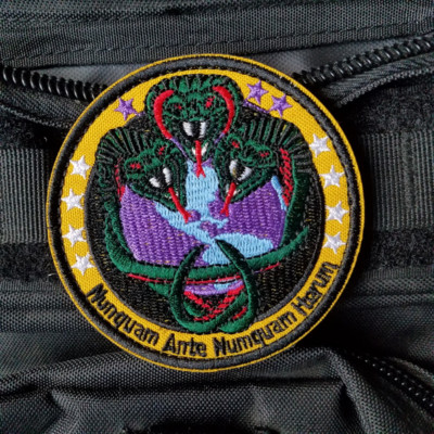 Cobra Snakes World Earth NRO Patch Venomous Hook Patch Nat Recon Office ...