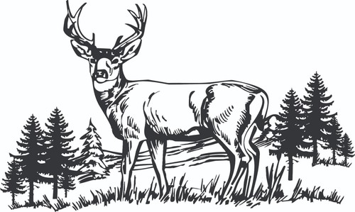 DEER SCENE WILDLIFE DECAL #2 12" x 7" LARGE WHITE | eBay