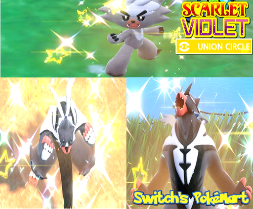 SHINY KUBFU SHINY URSHIFU RAPID STRIKE SHINY URSHIFU SINGLE STRIKE ...