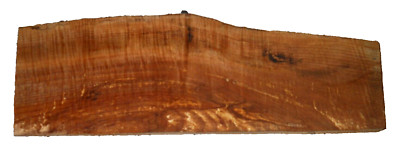 FIDDLEBACK MAPLE SLAB TURNING CRAFTING WOODWORKING APPROX 19x6.5x1 IN ...