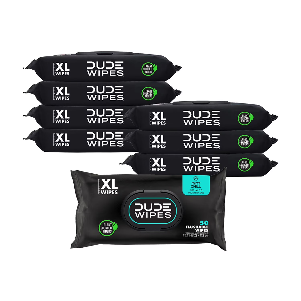 DUDE XL Flushable Wipes, Extra Large and MINT CHILL Wipes (400 ct ...