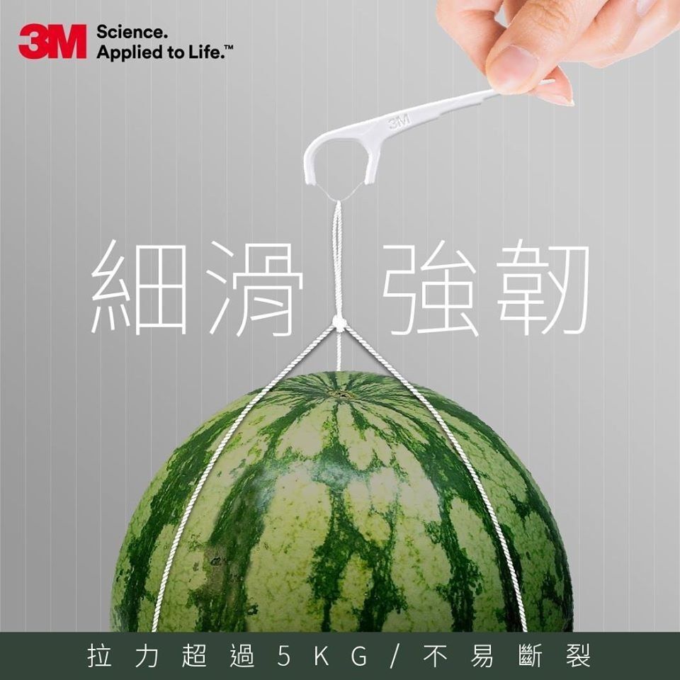 (24 BOXES) NEW Original 3M Dental Floss Picks Disposable Flossers 150ea ...