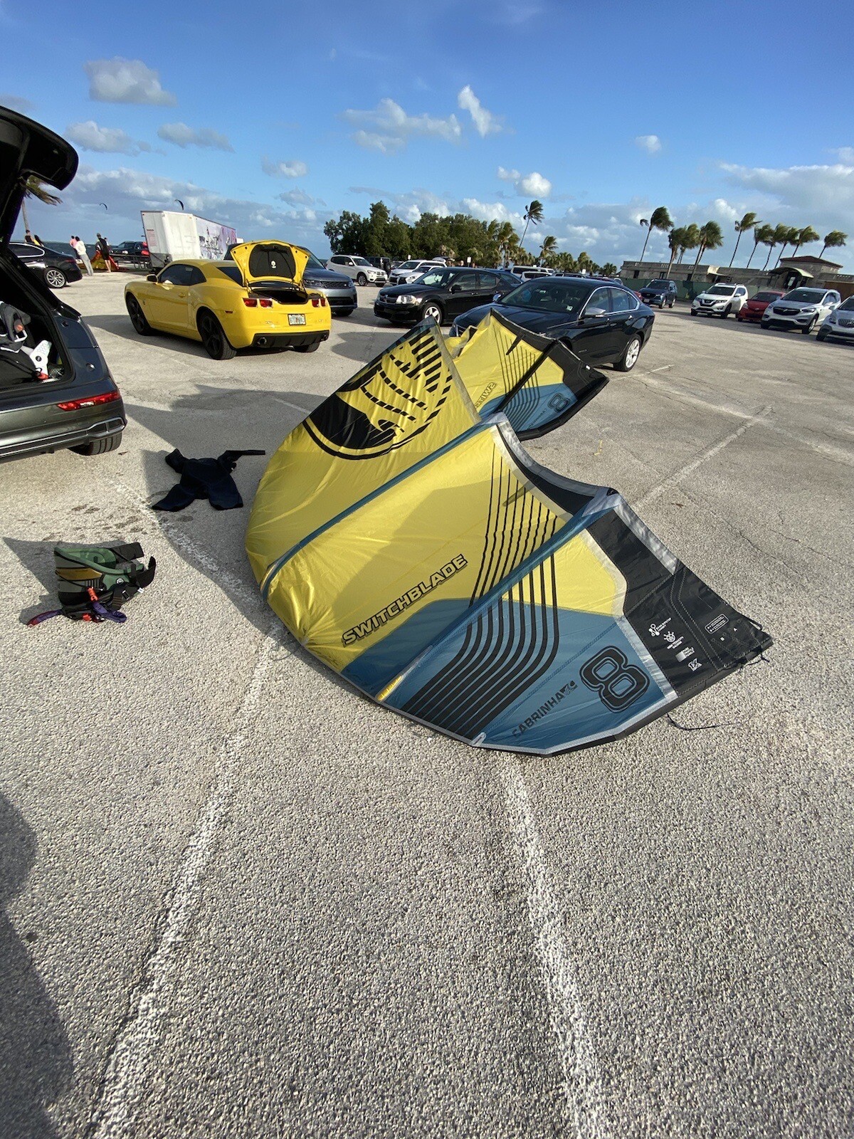 kiteboarding kite | eBay