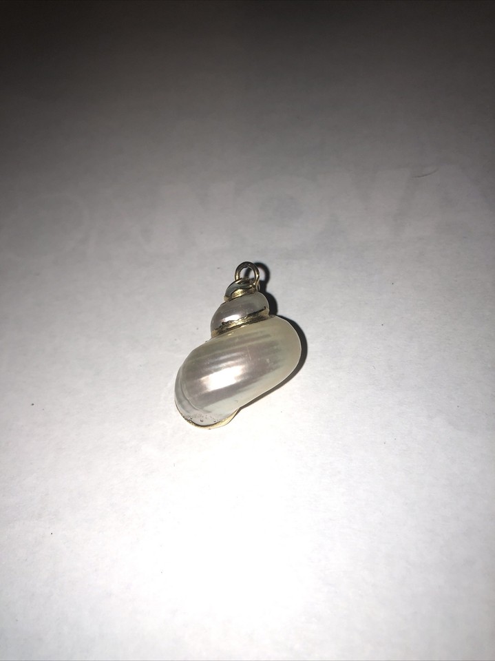 Natural Shell Pendant with Gold Gilding (NO CHAIN) Beach Boho ...