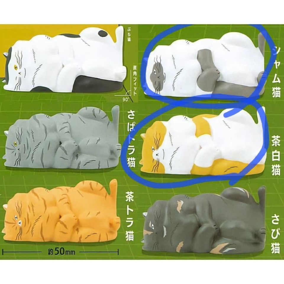 Right Angle Cat Mascot Figure Siamese Cat Brown White Cat Gacha Gacha ...