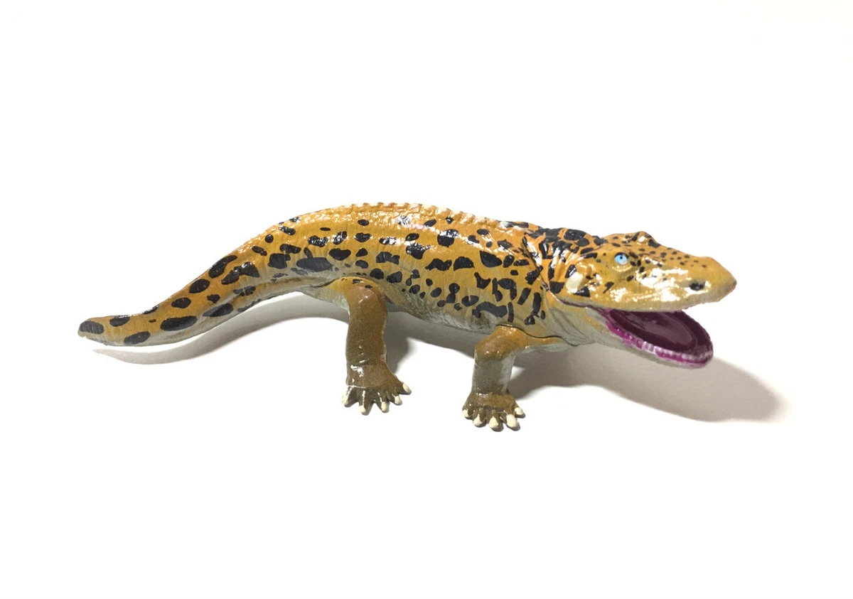 Eryops