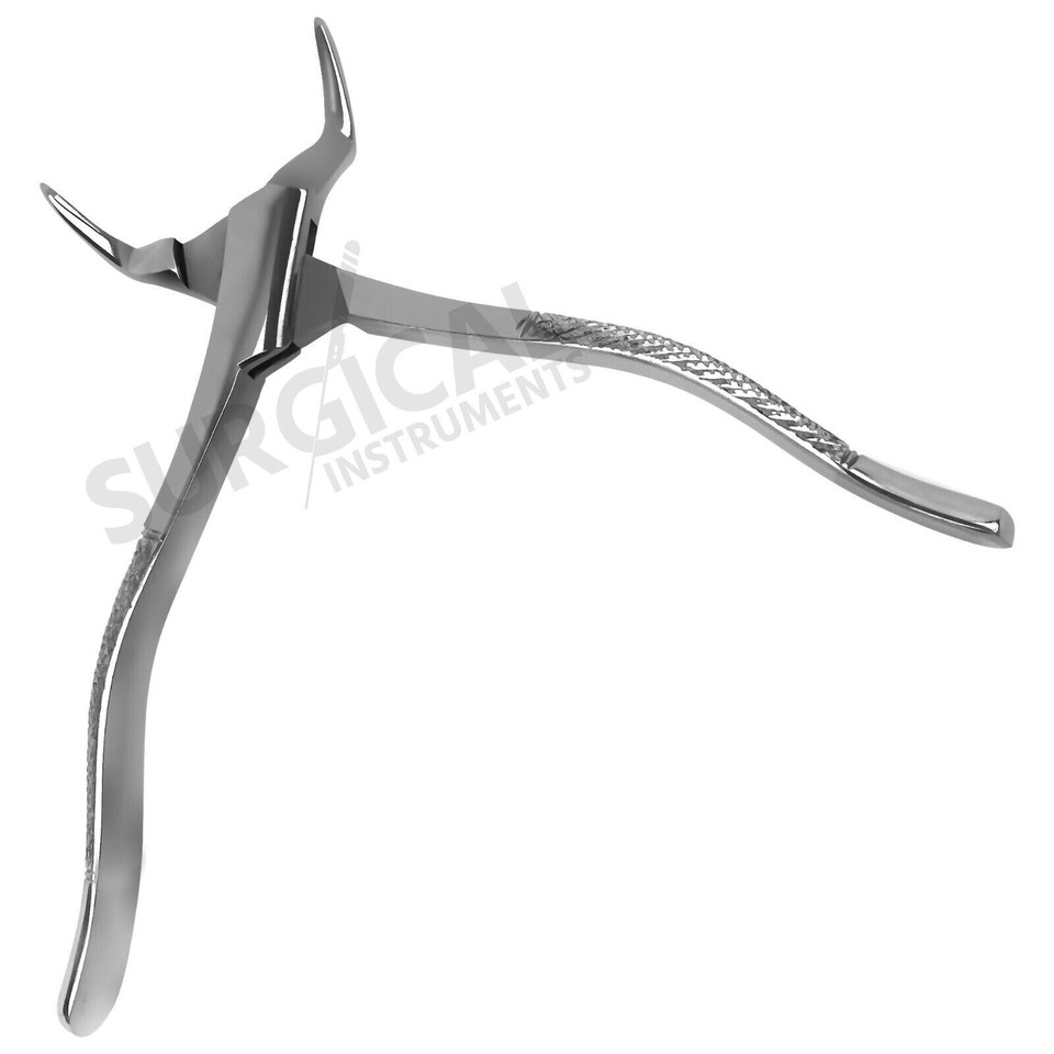 Extracting Forceps #65 Dental Surgical Instruments Stainless German ...