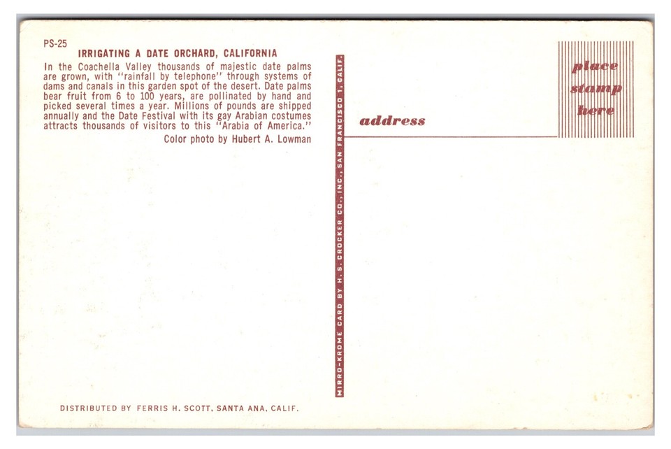 VTG 1960s- Irrigating A Date Orchard- Coachella, California Postcard ...