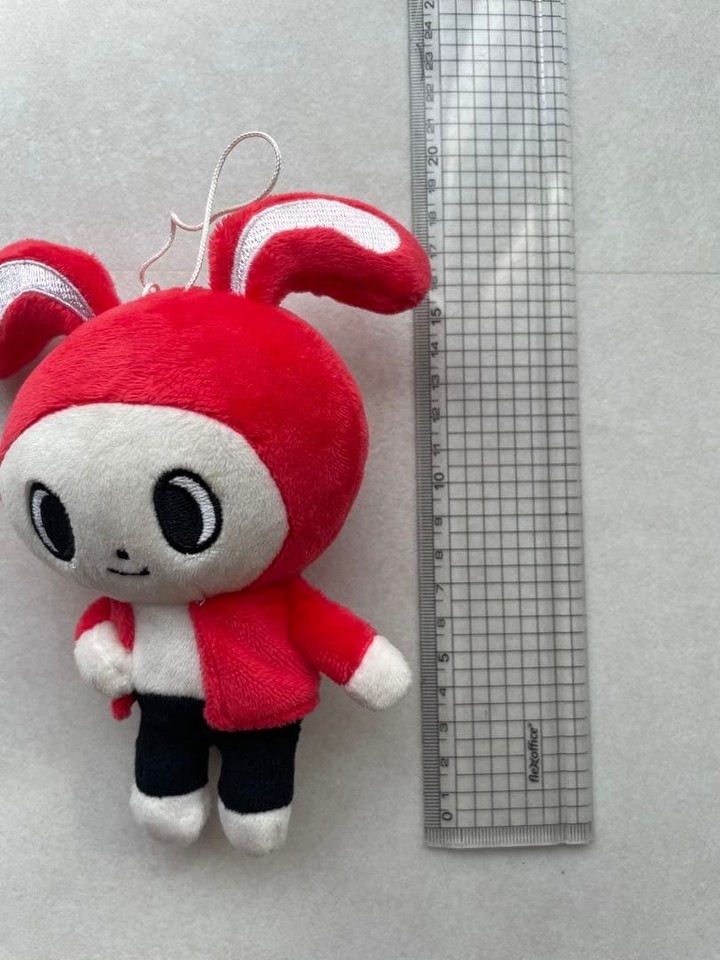 Maizen Sisters Zenichi Plush Doll Zenichi Character | eBay