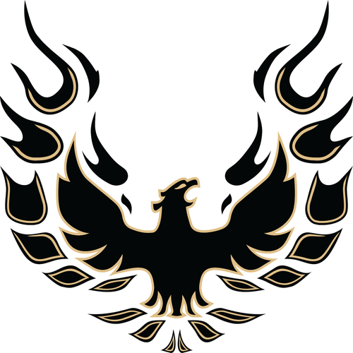 Firebird Trans Am Year One Bandit Vinyl Sticker Decal Car Side Panel ...