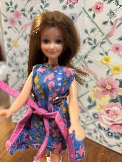 Vintage Pippa doll Rosemary | eBay UK