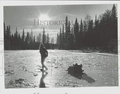 1985 Press Photo Judy Price pulls firewood across pond in front of ...
