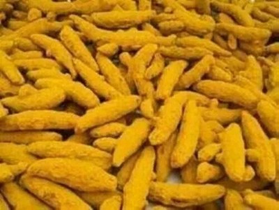 50gm Organic Whole Turmeric Sticks | Haldi Gatihya - F/Shipping | eBay ...