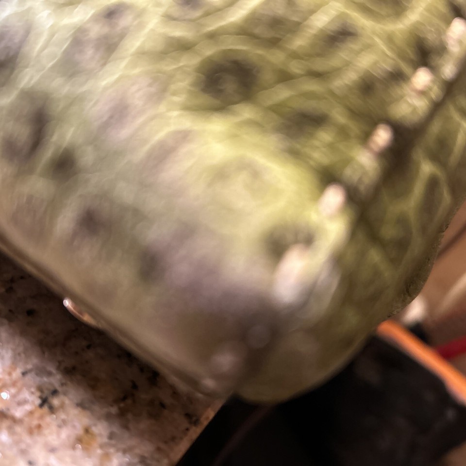 Ann Taylor Bag Green Leather Croco Embossed Leather Purse | eBay