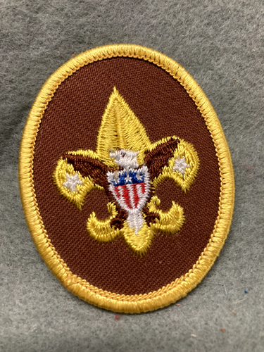 (ae12) Boy Scouts - 1980's TENDERFOOT rank badge | eBay