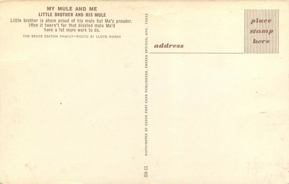 My Mule and Me Hillbillly Southern Hick The Sticks Redneck Comic ...