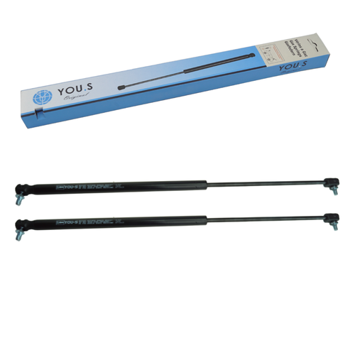 Gas Dämpfer Per Landini Large L160 L180 L200 Frontscheda / Finestrino 2 ...