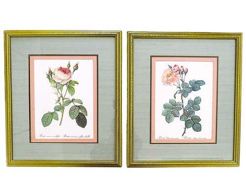 Pair of P. J. Redoute French Botanical Still Life Roses Framed Prints ...