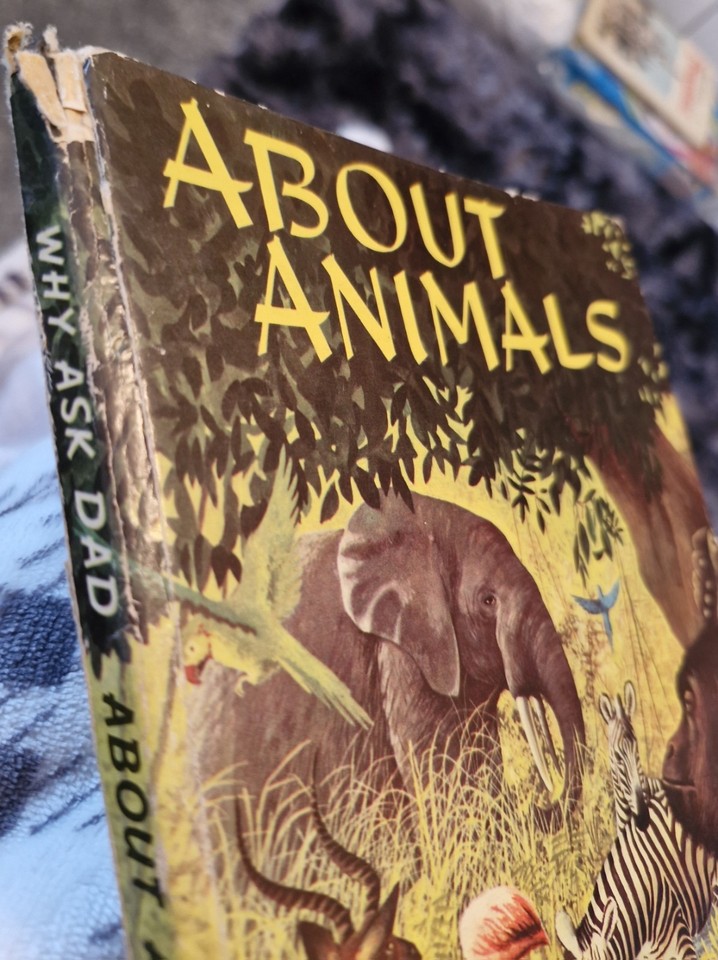 ABOUT ANIMALS by JOAN BUNN-RICHARDS Hardback D/W Pub. WARD LOCK 1959 ...