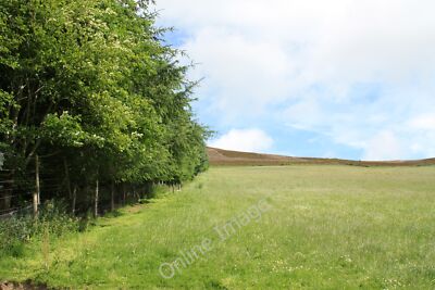 Photo 6x4 Plantation on Ladylea Hill Bellabeg/NJ3513 The edge of a ...