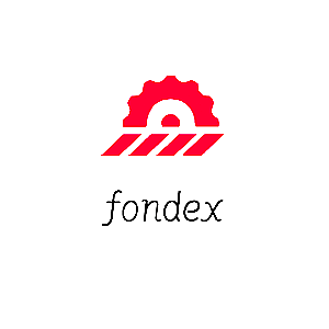 fondex | eBay.de Shops