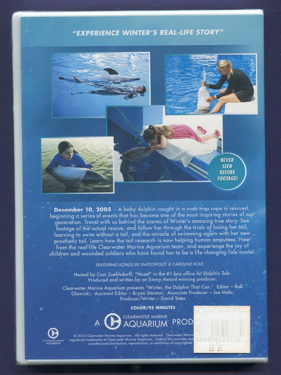 Hazel Dolphin Tale Real Life