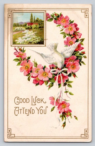 c1910 White Dove Pink Flowers Wreath Good Luck Attend You P353 | eBay