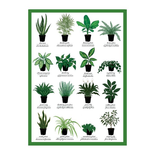Houseplants Identification Chart Greetings Card Art - Indoor Plants ...