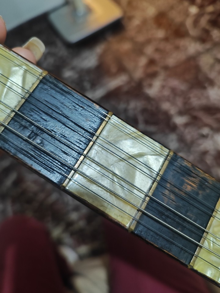 long madolin- greek bouzouki | eBay